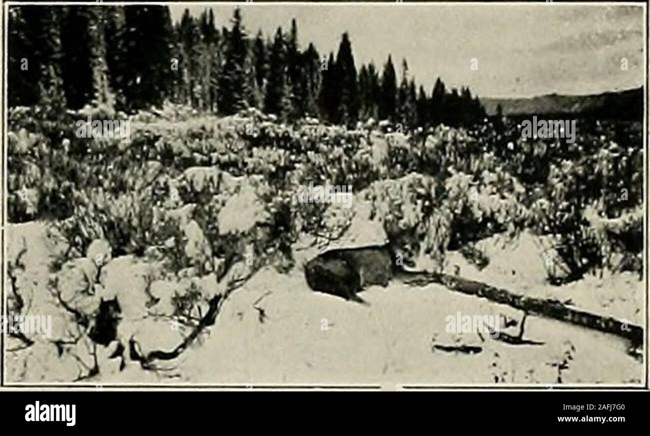 . Western field Stock Photo - Alamy