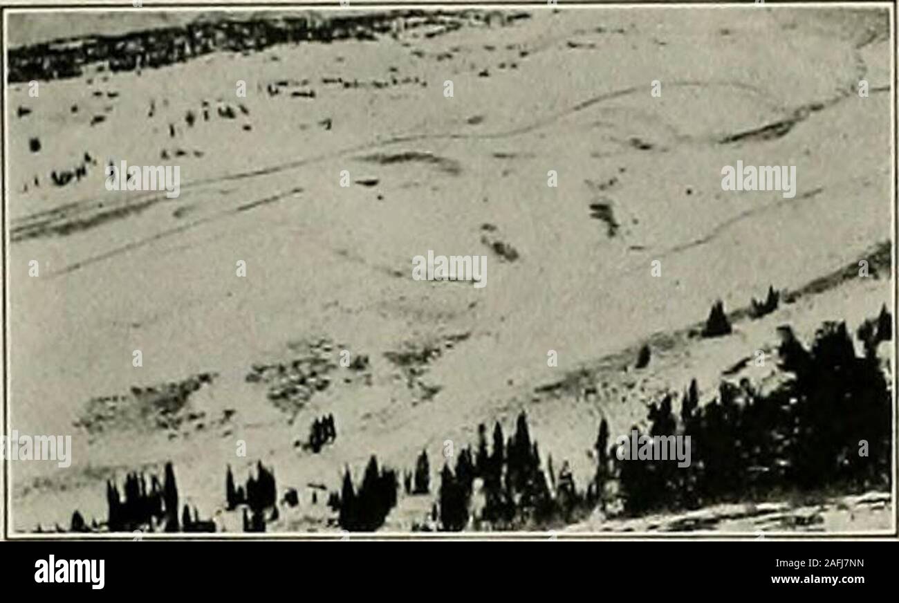 . Western field Stock Photo - Alamy