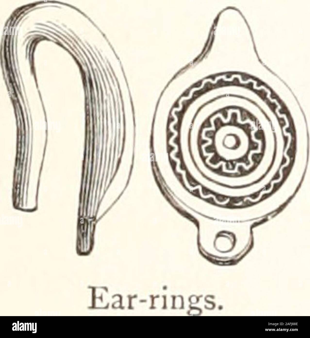 Labrets hi-res stock photography and images - Alamy