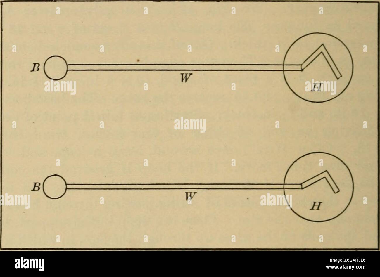 Thinner card hi-res stock photography and images - Alamy
