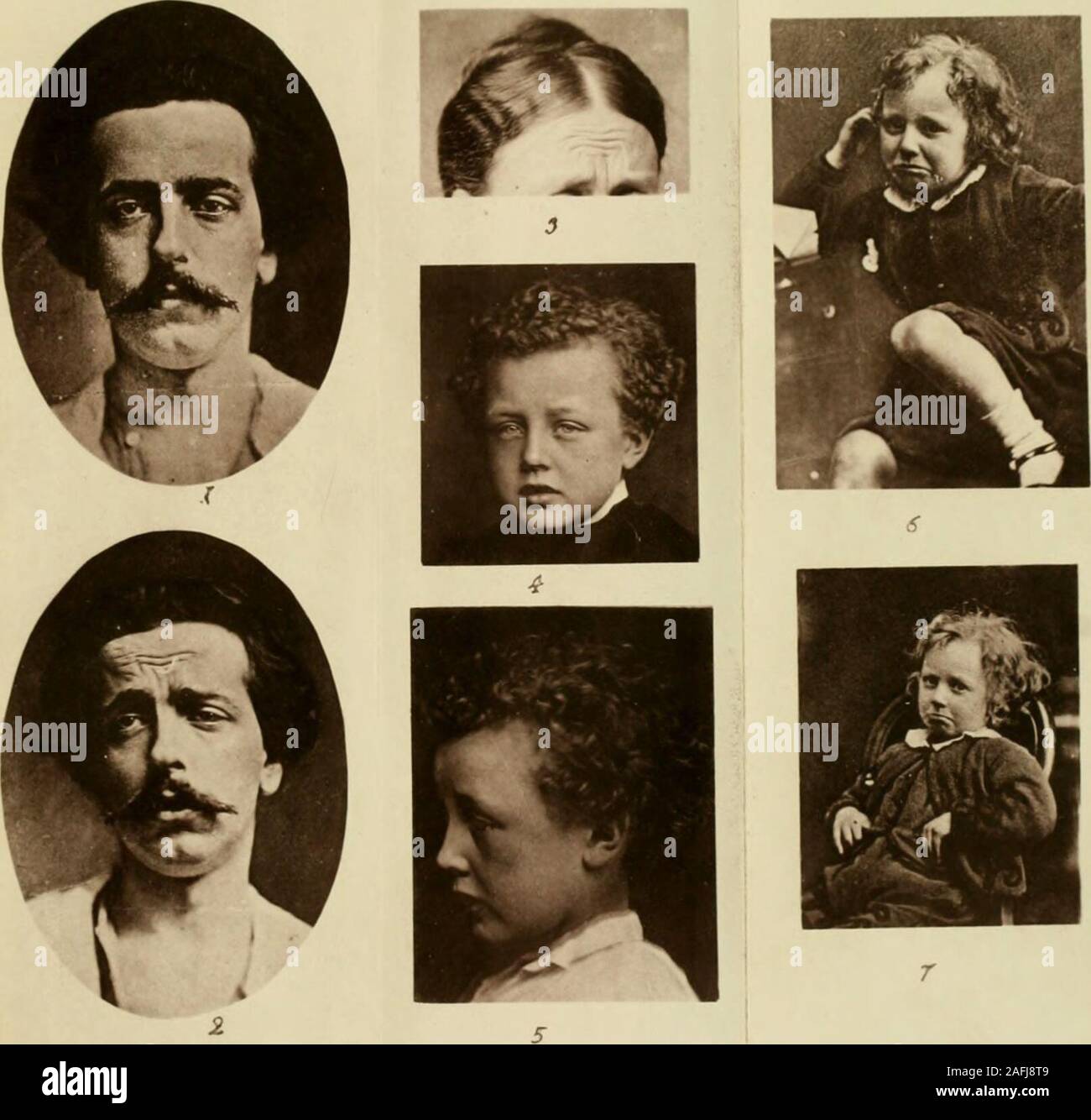 . The expression of the emotions in man and animals. o a fold or lump ...