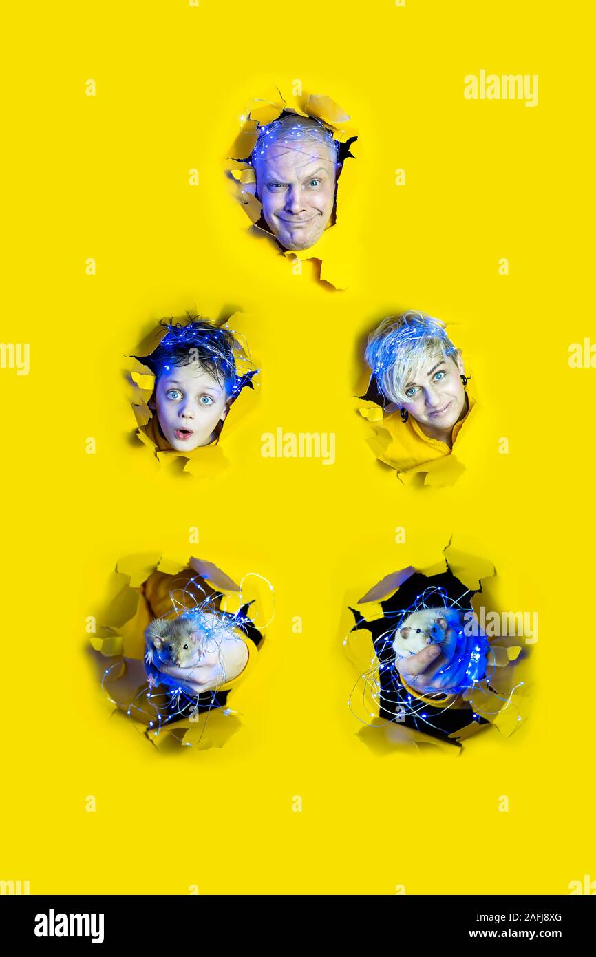 Surprised faces of people and rats in New Year's garlands peek out of ...