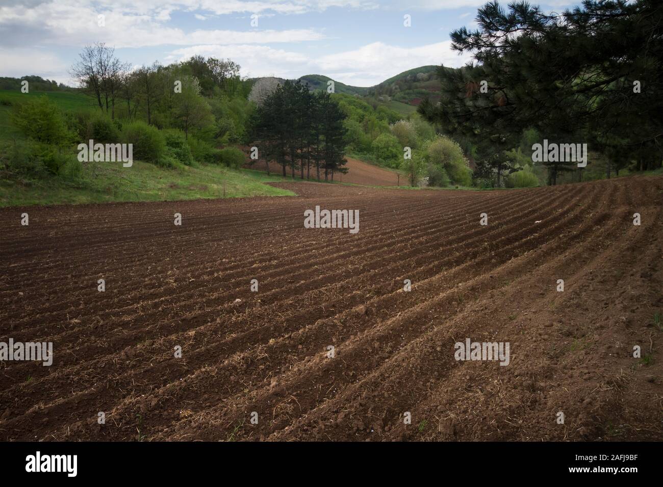 Cultivation of land hi-res stock photography and images - Alamy