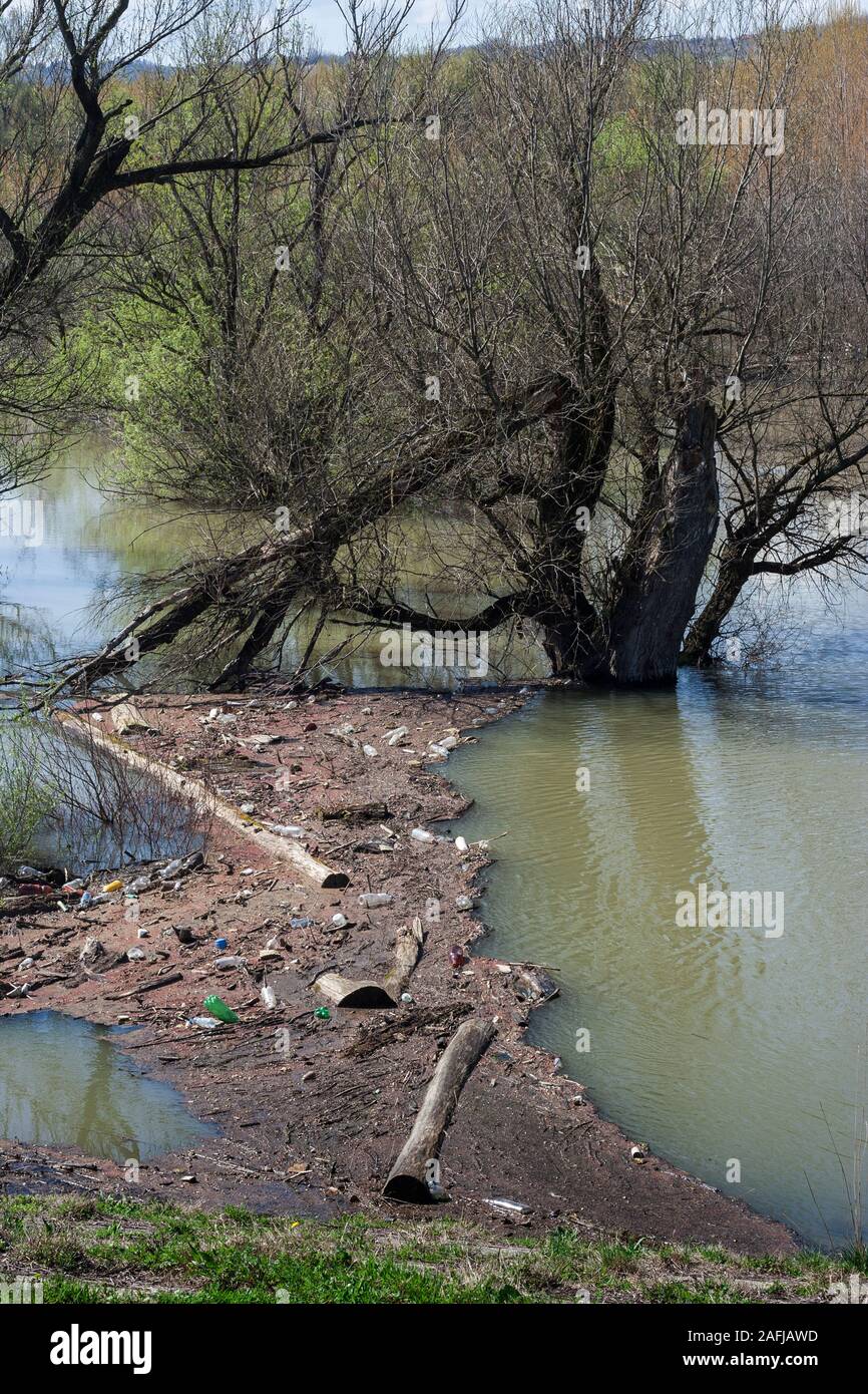Tree after flood environmental hi-res stock photography and images - Alamy