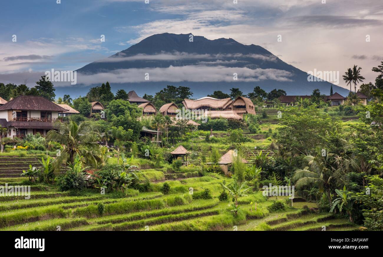 Volcano agriculture hi-res stock photography and images - Alamy