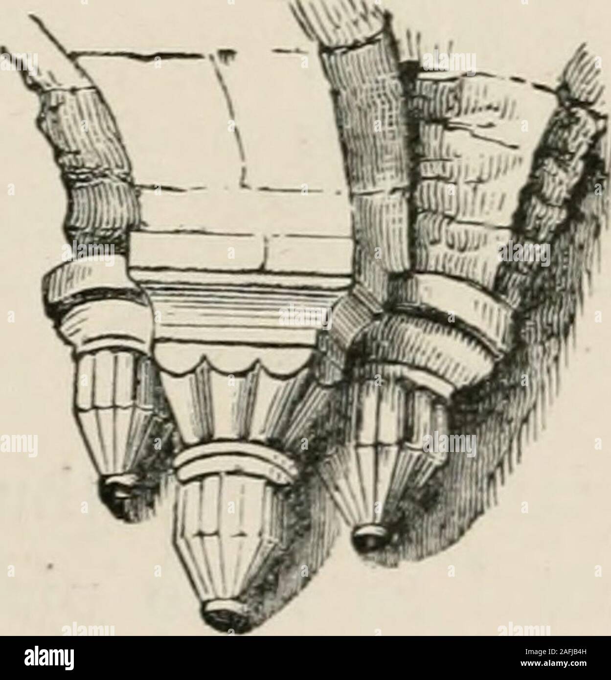 . Architecture for general students. utings. When the quadripartite ...