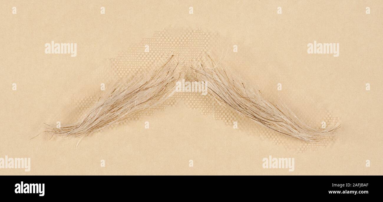 Artificial Mustache for Film and Theater Production Stock Photo - Alamy