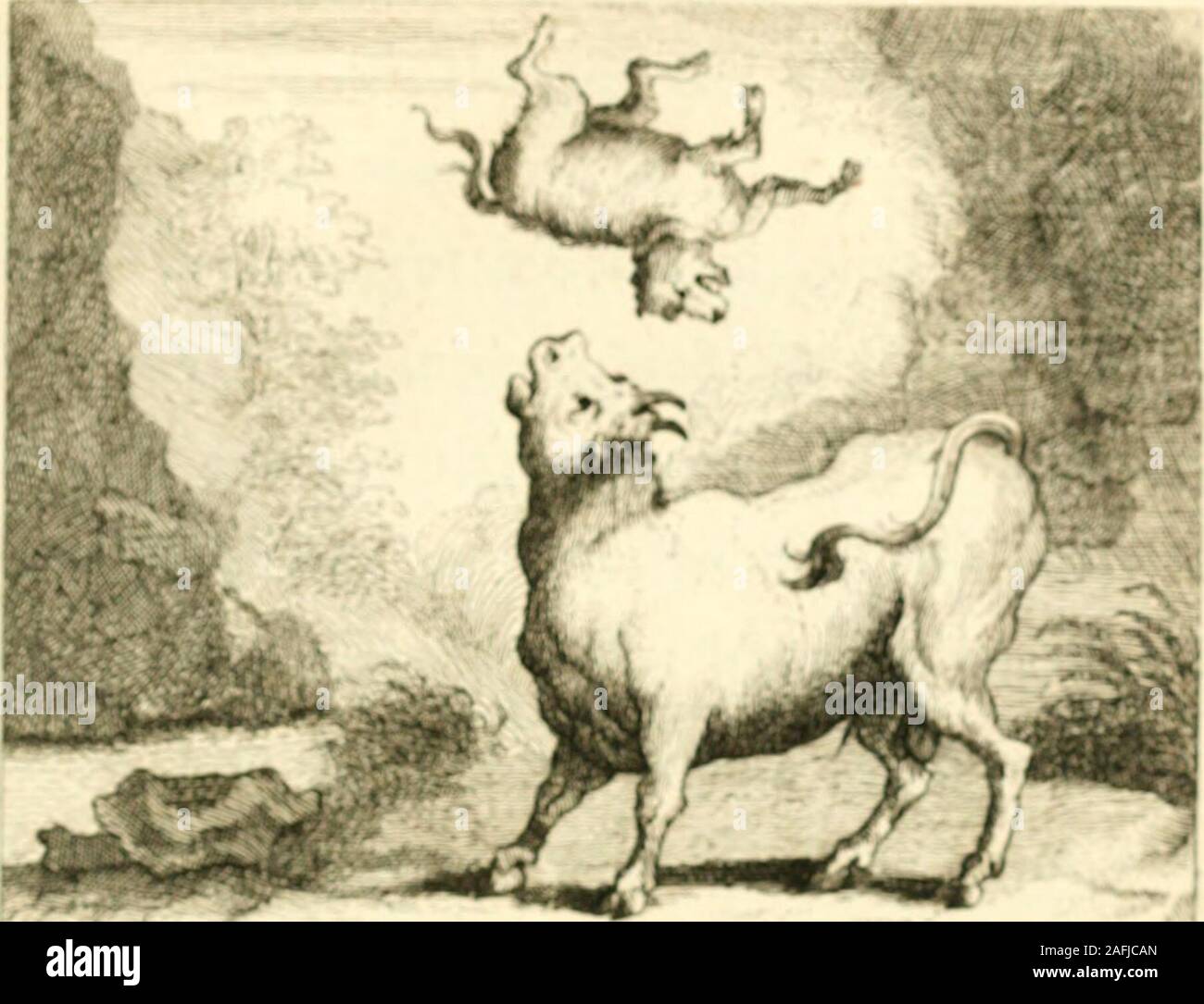 Fent free hi-res stock photography and images - Alamy