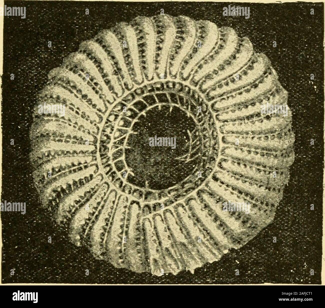 Potassium silicate hi-res stock photography and images - Alamy