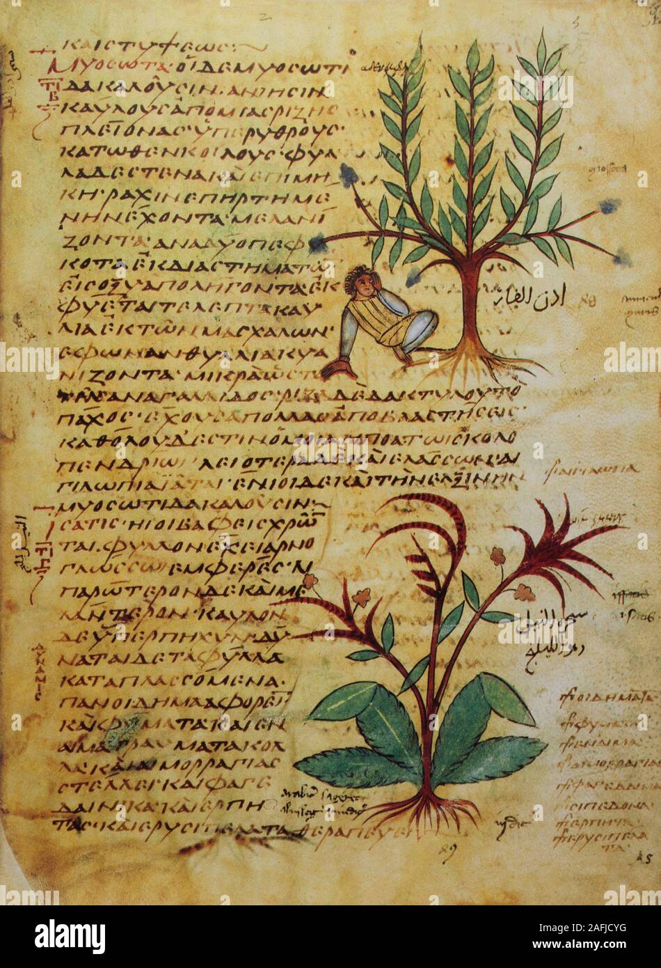 Illuminated Greek Manuscript High Resolution Stock Photography and ...