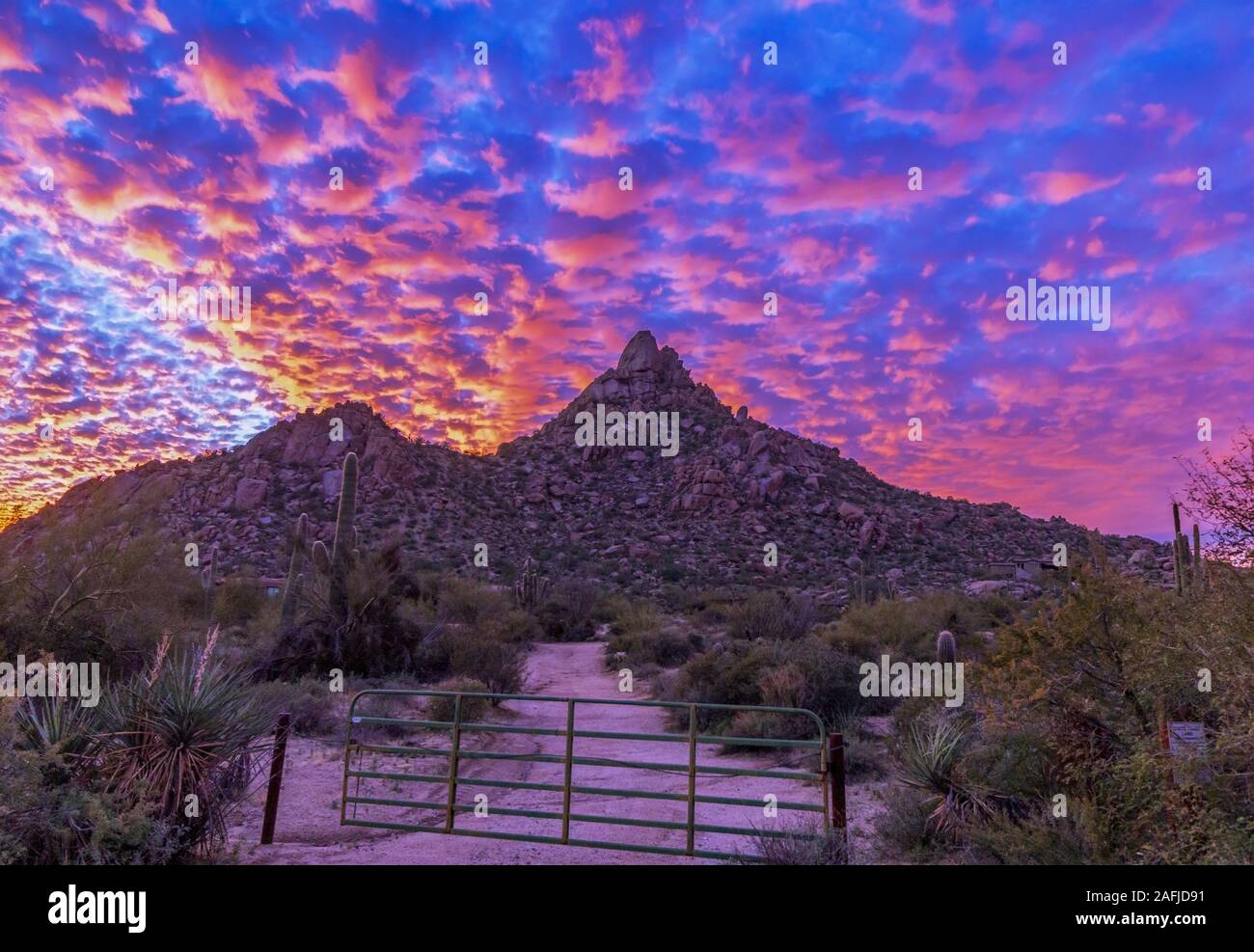Fiery and vibrant Arizona sunset at Pinnacle Peak Park & Trail in ...