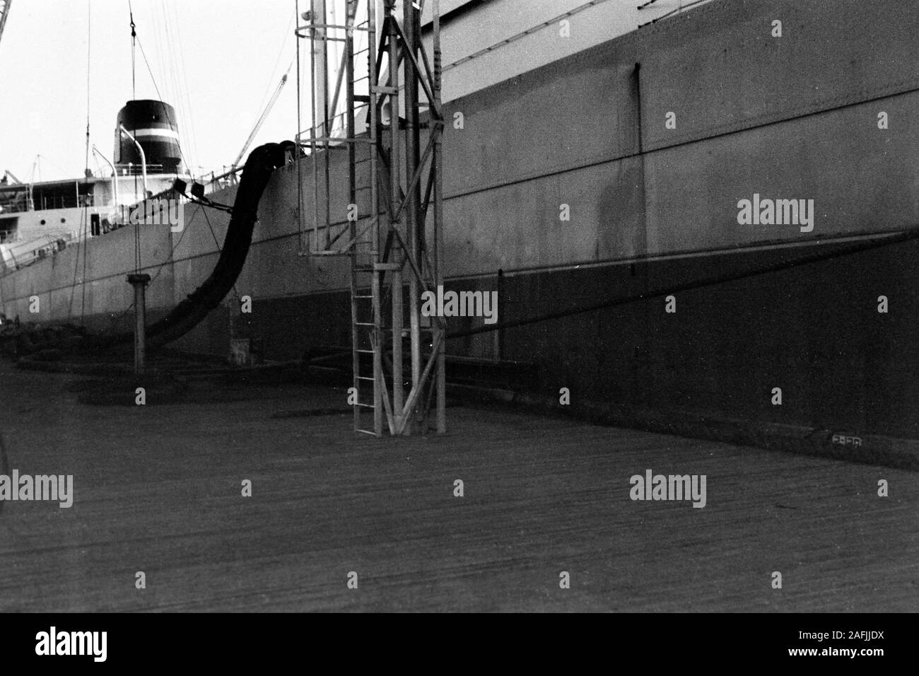 Schiff "World Guidance" im Hafen von Port Said, Ägypten, 1955. Vessel ...