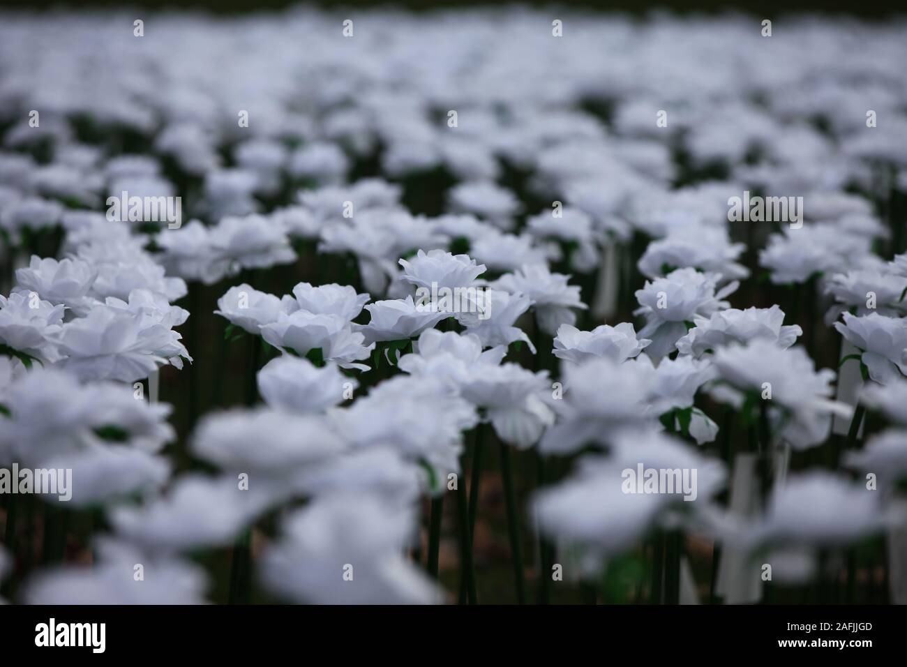 The Ever After Garden in Grosvenor Square, London, which is filled with ...