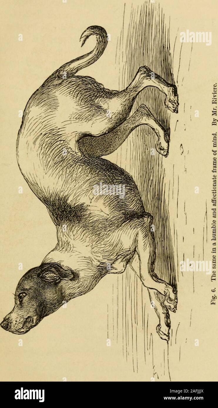 . The expression of the emotions in man and animals. Chap. II. THE ...