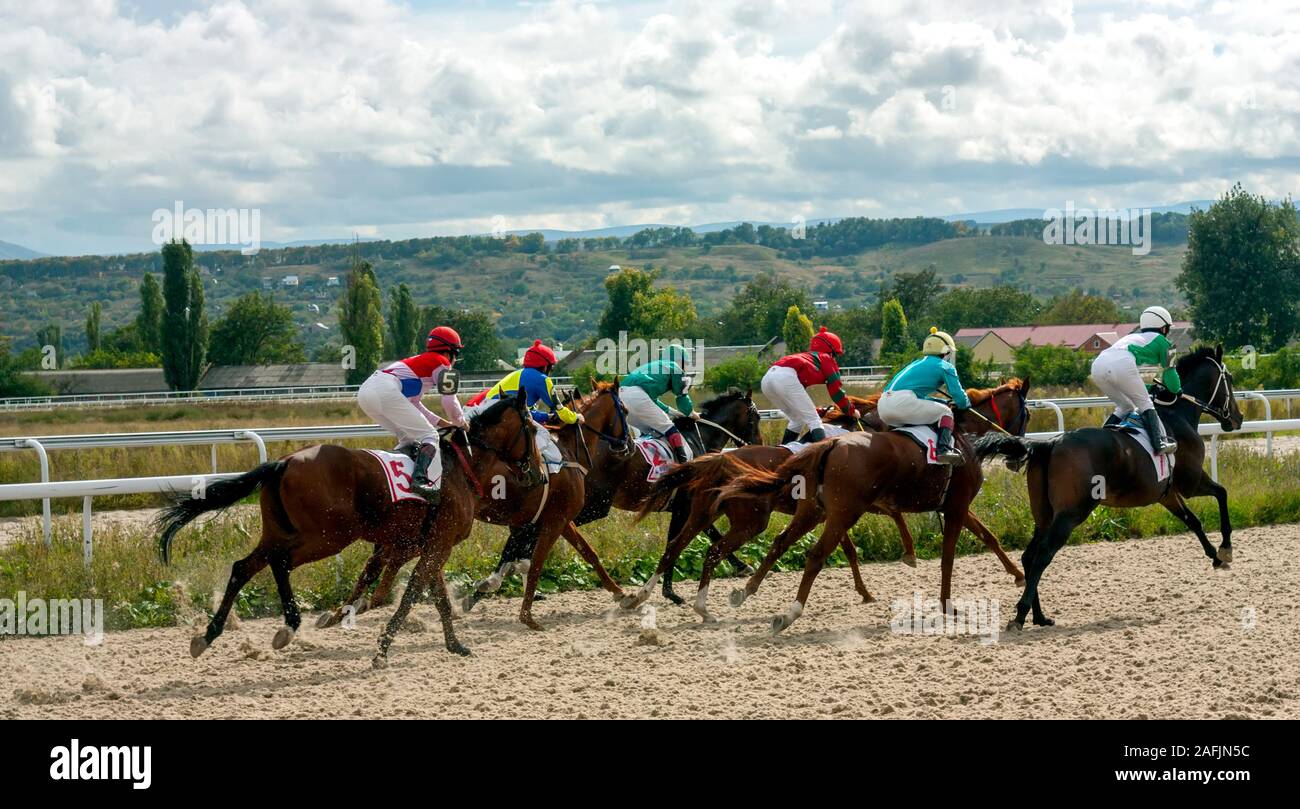Russian racehorse hi-res stock photography and images - Alamy