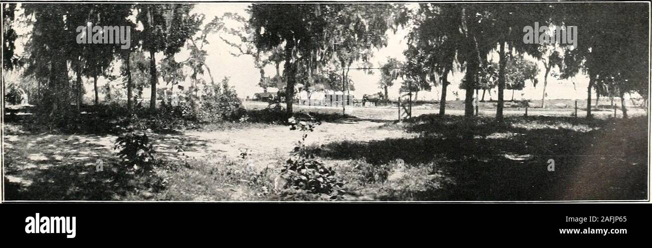 Ellington field hi-res stock photography and images - Alamy