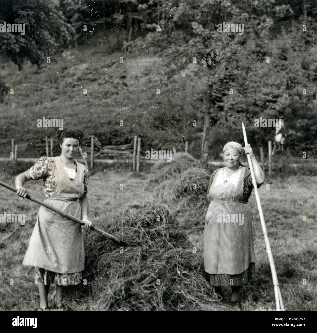 Hay rakes hi-res stock photography and images - Alamy