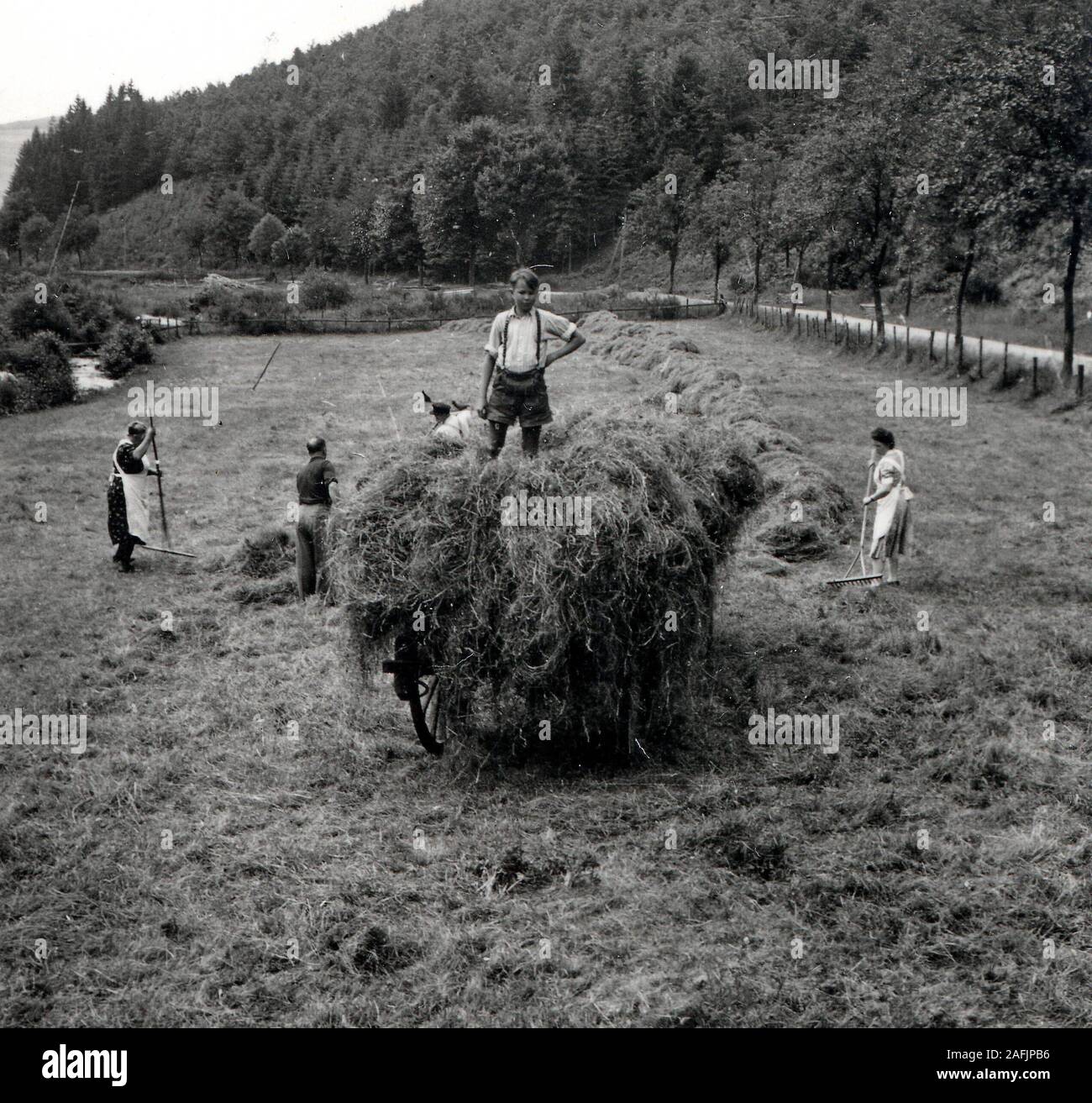 1960s hay hi-res stock photography and images - Alamy