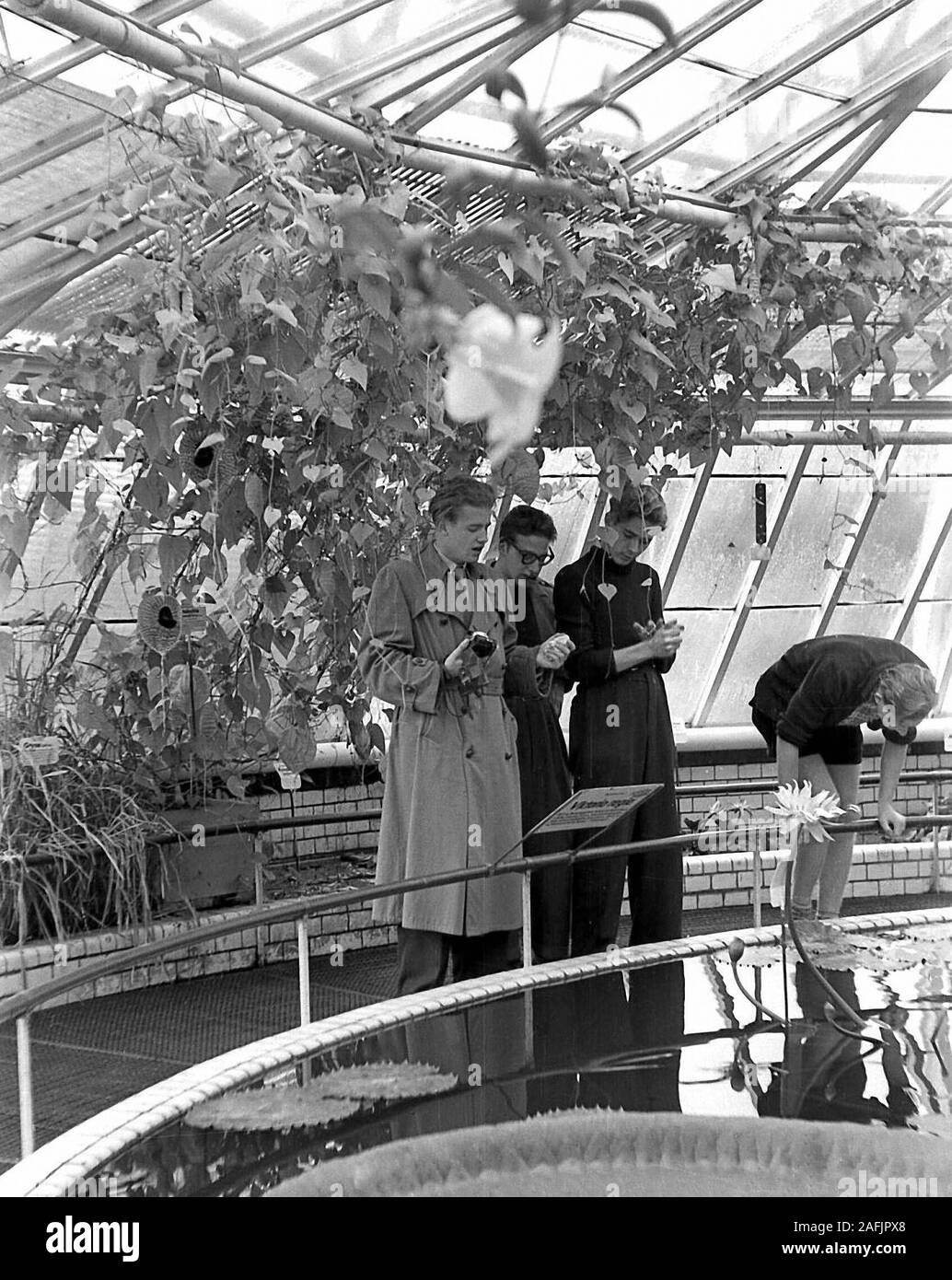 1950s garden Black and White Stock Photos & Images - Alamy