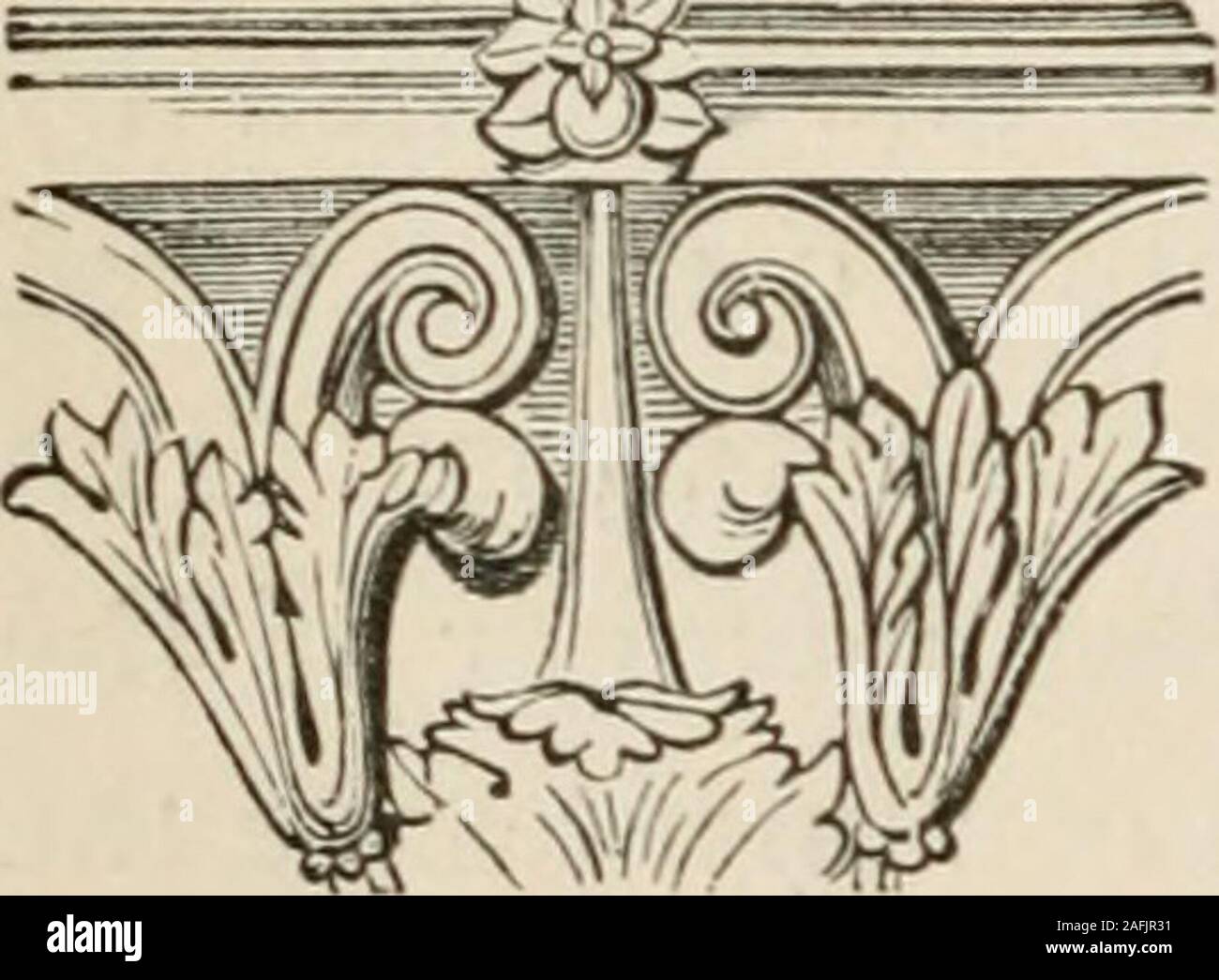 Acanthus Architecture