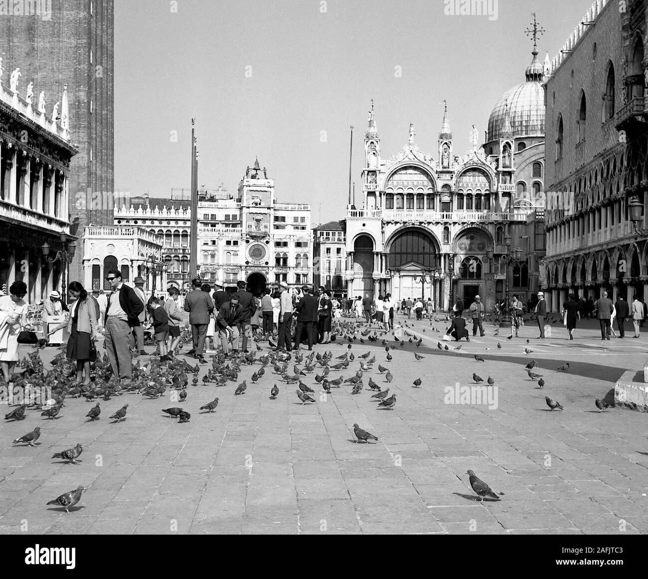 Venice animals Black and White Stock Photos & Images - Alamy