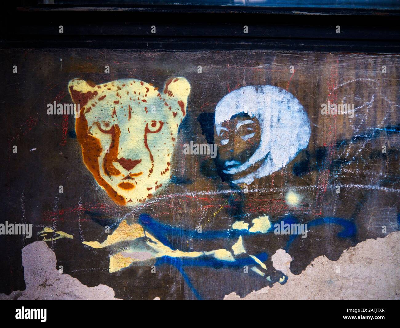 Magnificent wall art in the city of Budapest in Hungary. These huge ...