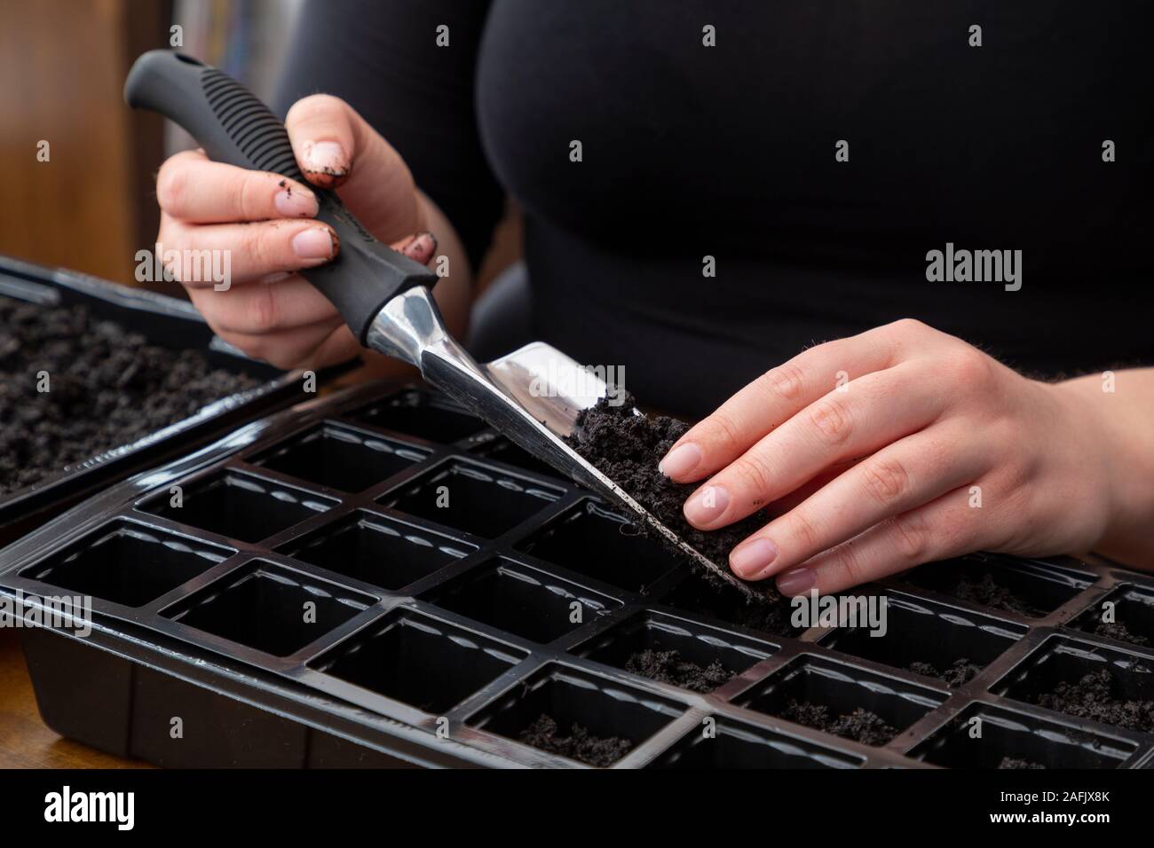 Adding compost to seed tray Stock Photo - Alamy