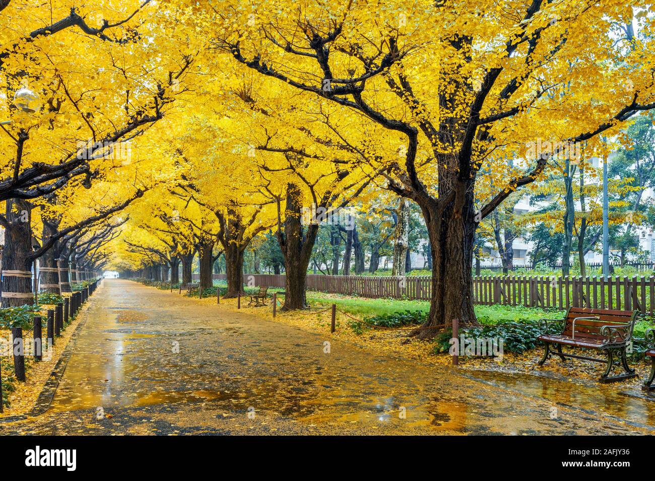 Icho tower hi-res stock photography and images - Alamy