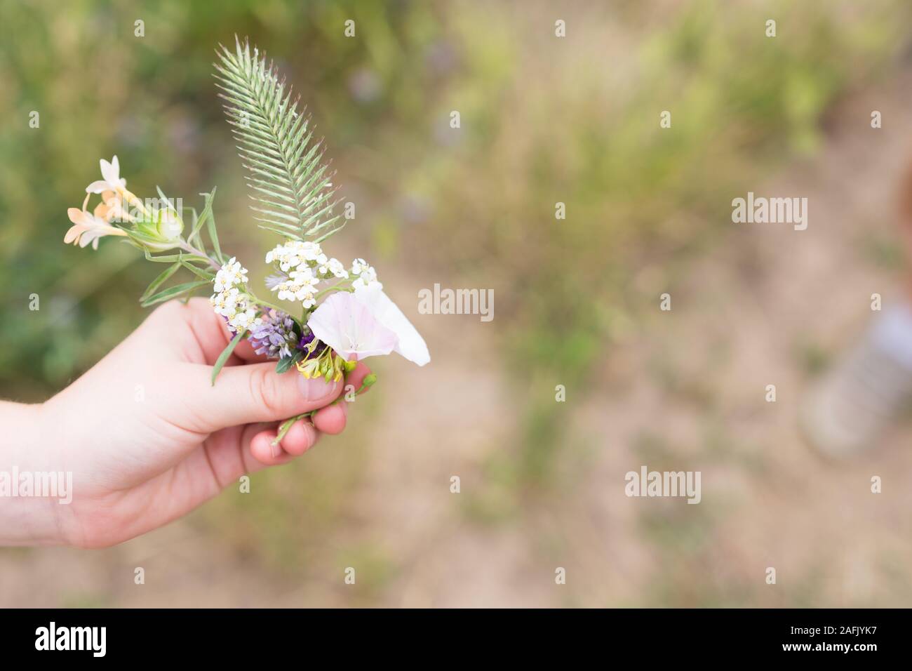 Beautiful displays of flowers hi-res stock photography and images - Alamy