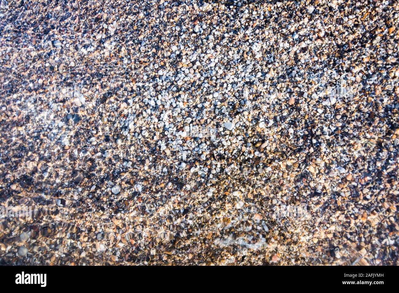 Lake shore small shells summer hi-res stock photography and images - Alamy