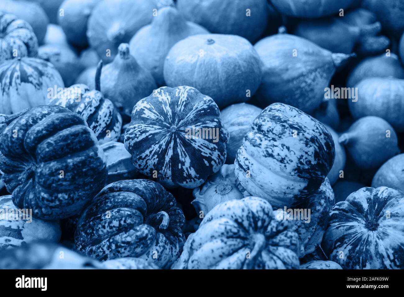 Abstract squash background in trendy classic blue color Stock Photo - Alamy