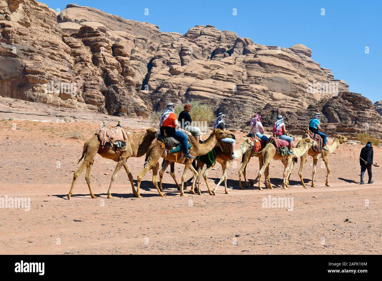 Camel ride wadi rum hi-res stock photography and images - Alamy
