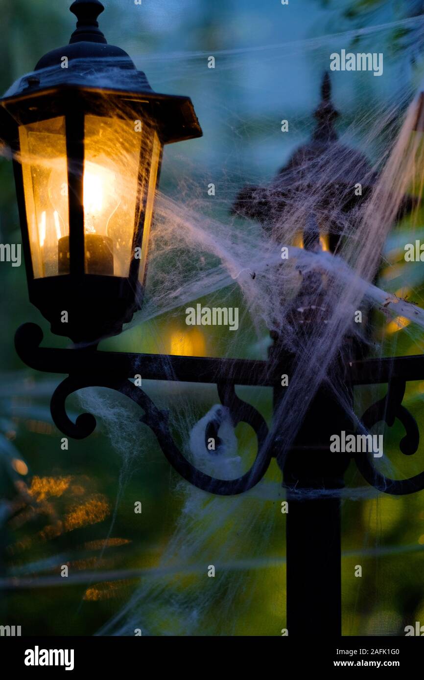 Wrapped cobwebs hi-res stock photography and images - Alamy
