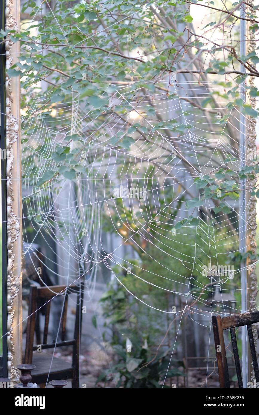 Spider web pavilion hi-res stock photography and images - Alamy