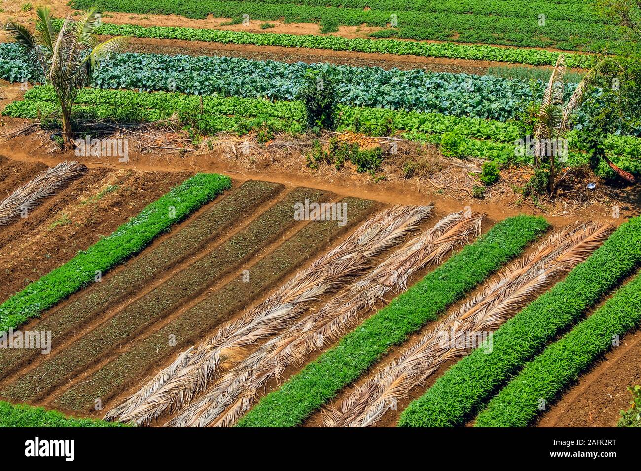 Irrigated farmland hi-res stock photography and images - Alamy