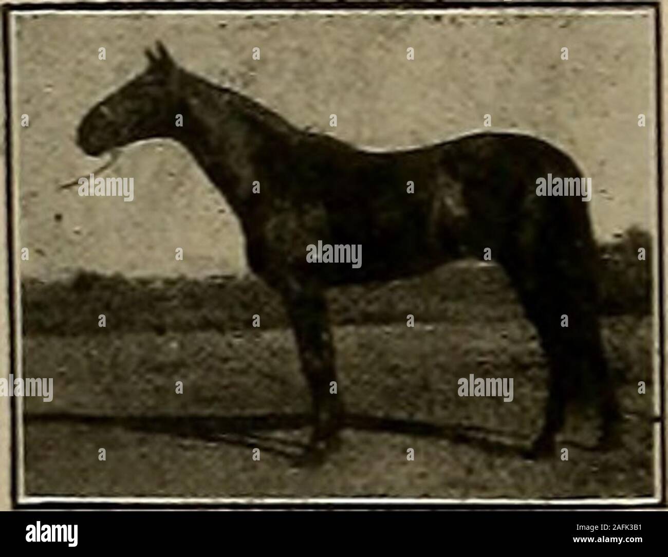 Georgie kelly hi-res stock photography and images - Alamy