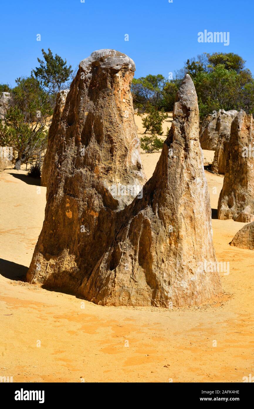 Australia, WA, The Pinnacles in Nambung National Park, preferred ...