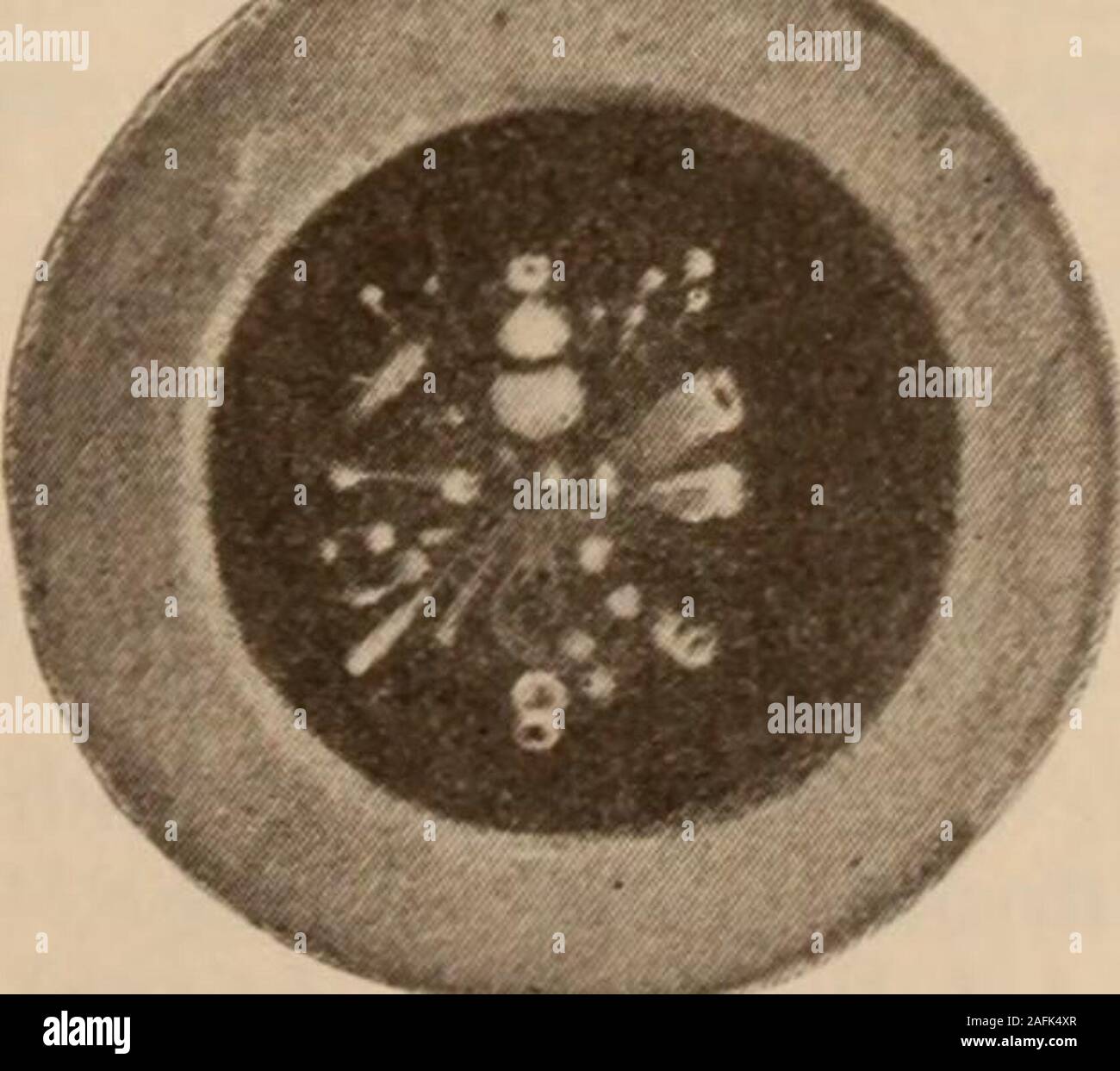 Eyeground hi-res stock photography and images - Alamy