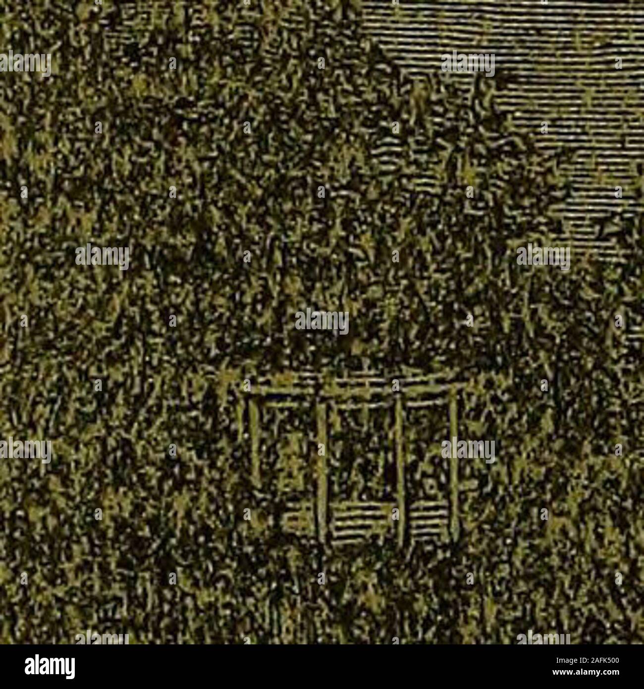 . How to propagate and grow fruit. ft I ?•Wat « , - w?-- T VU ...