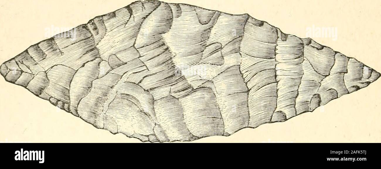 Neolithic axe head hi-res stock photography and images - Alamy