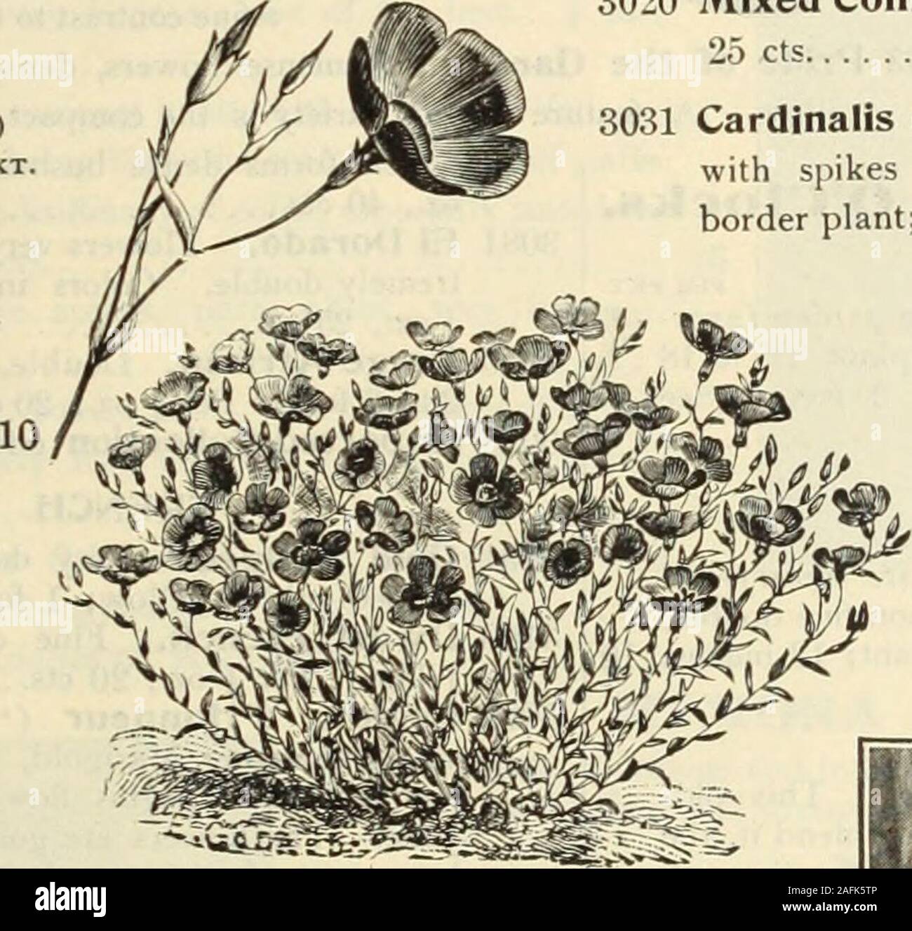 Henil hi-res stock photography and images - Alamy