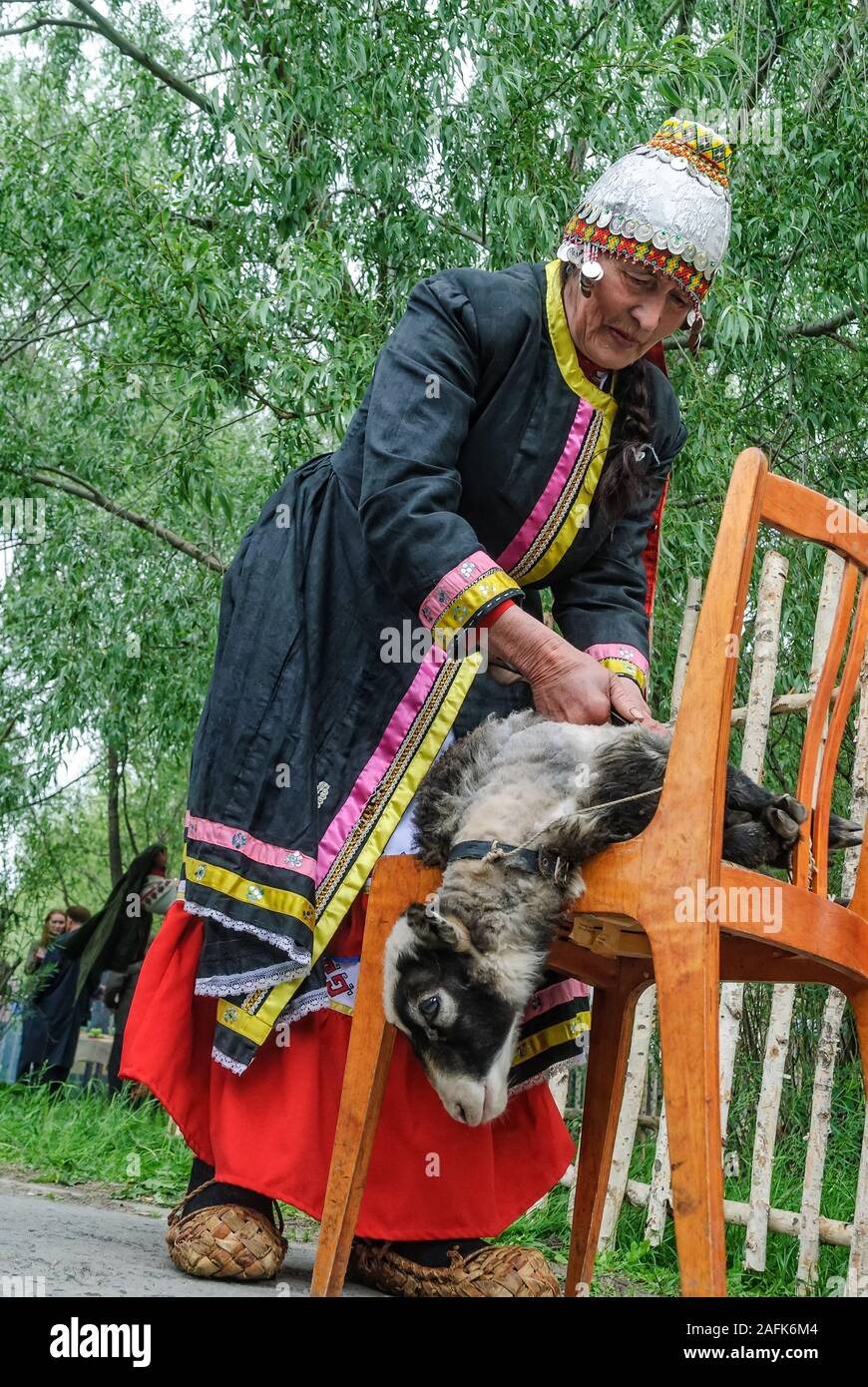 Nenets woman processes cervine skin Stock Photo - Alamy