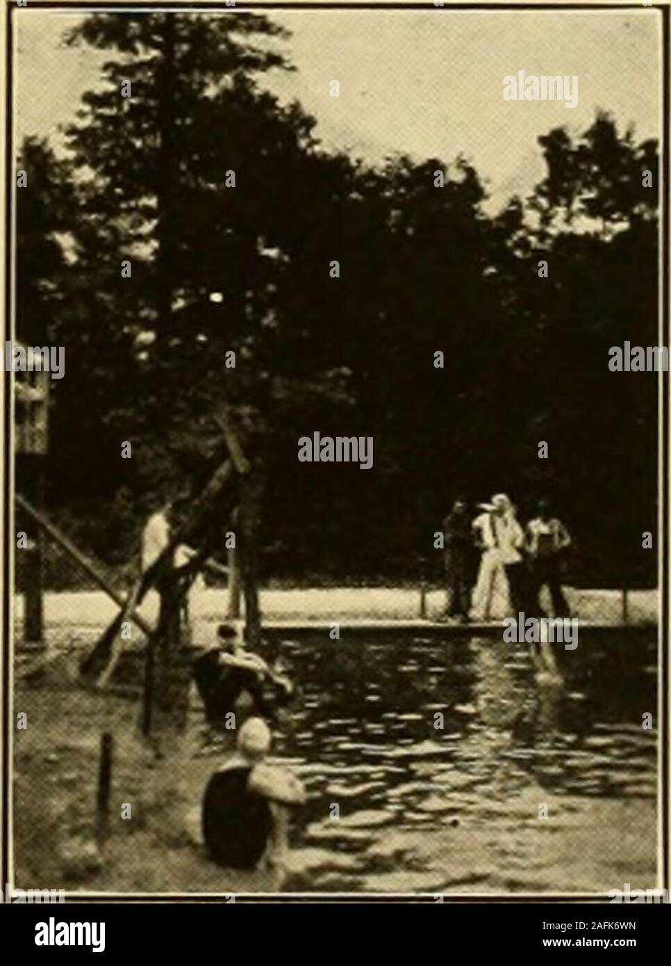 Briar Patch High Resolution Stock Photography and Images - Alamy