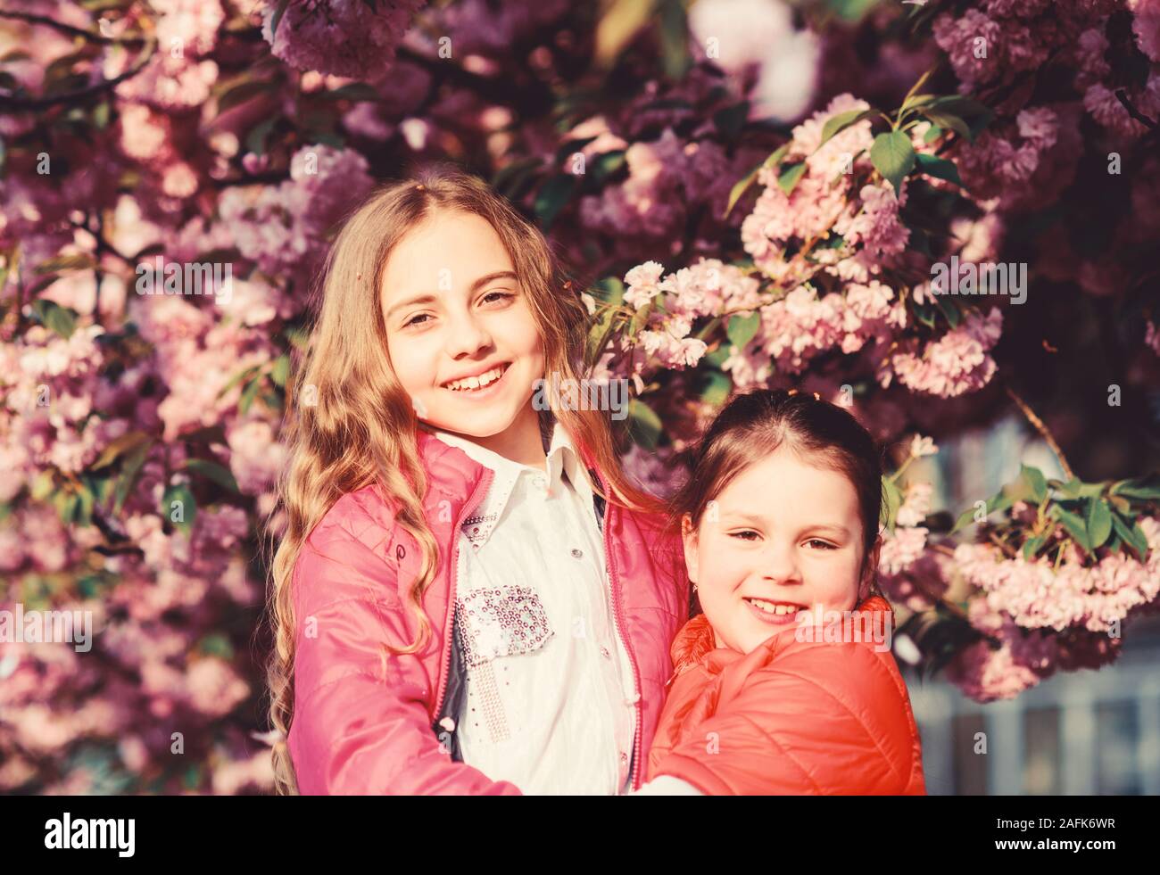 Pink is our favorite. Kids pink flowers of sakura tree background. Kids ...