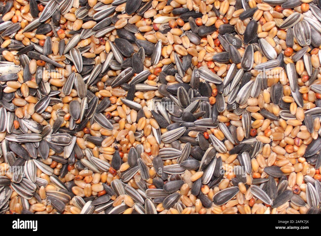 The picture shows a selection of bird food Stock Photo - Alamy