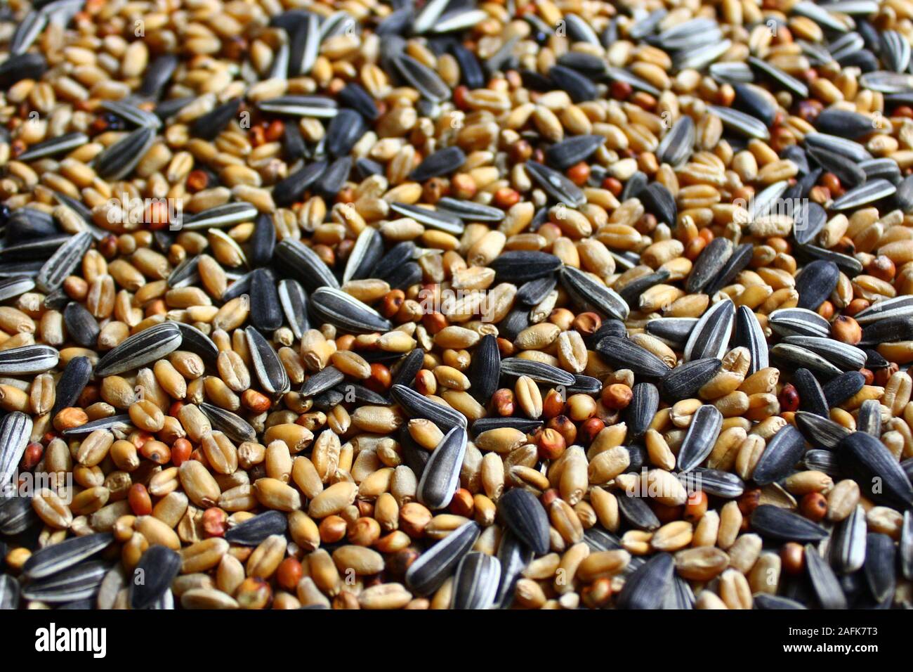 The picture shows a selection of bird food Stock Photo - Alamy
