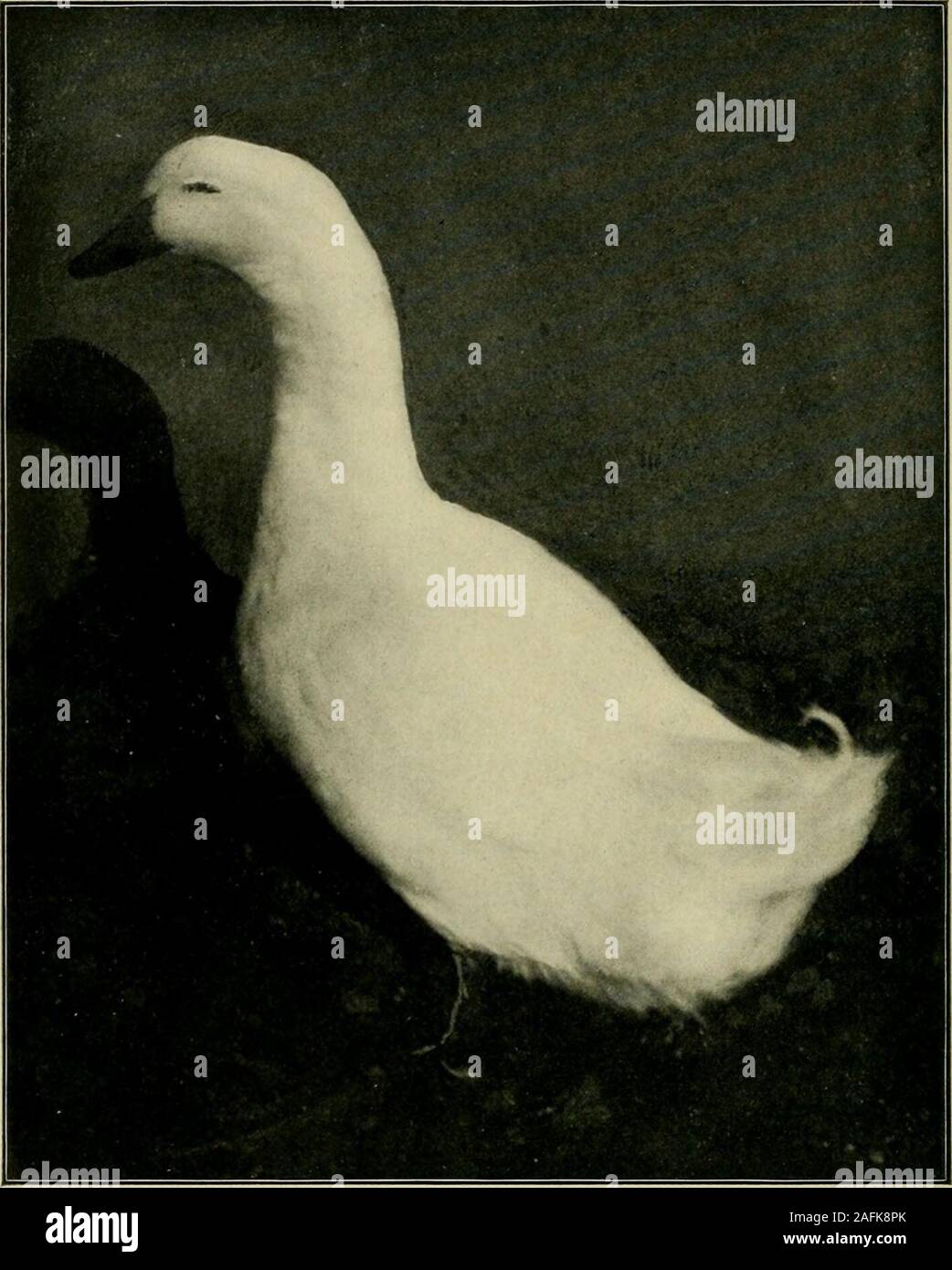 Bysight hi-res stock photography and images - Alamy