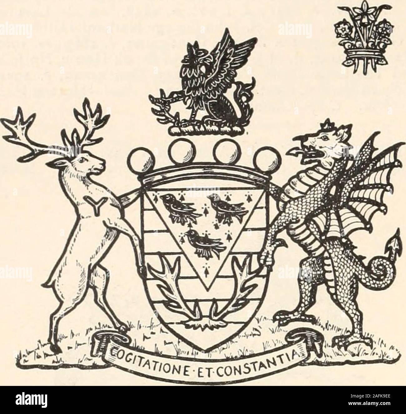 Dexter claw hi-res stock photography and images - Alamy