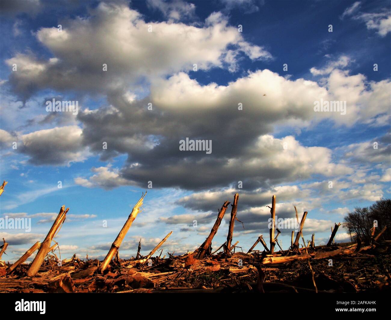 Pennsylvania field bright hi-res stock photography and images - Alamy