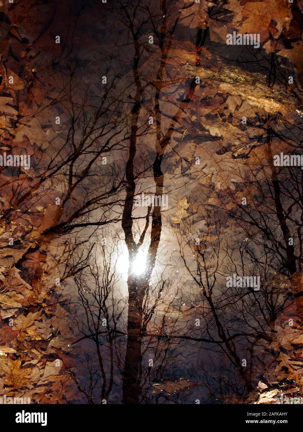 Dark reflection hi-res stock photography and images - Alamy